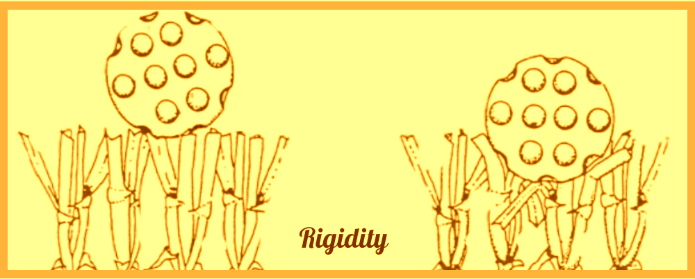 Green Performance Explained - Bowls Central