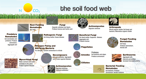 Grass, greenkeepers and the soil food web - Bowls Central